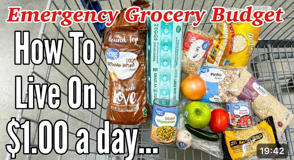 How to Live on $1.00 a Day - Julia Pacheco