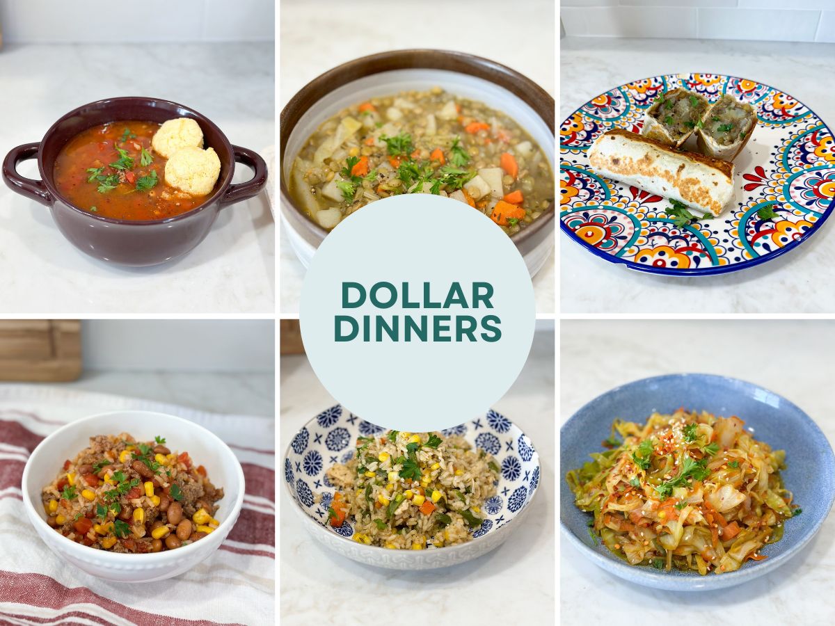 Feed Your Family for Less! 6 Healthy Recipes for $20 | Emergency ...