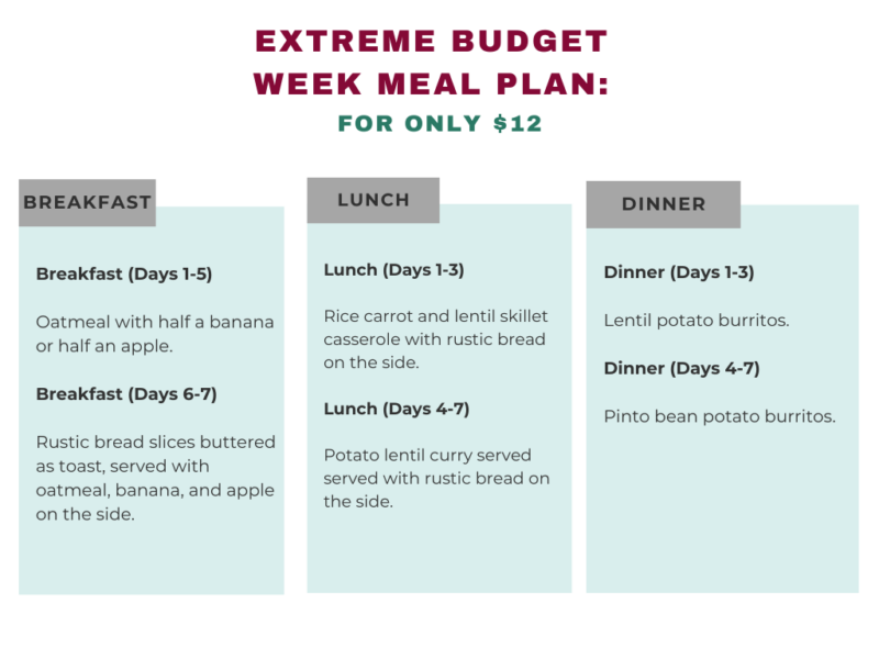 I Ate for $12 a Week | Dirt Cheap, Easy & Healthy Meals (Emergency ...