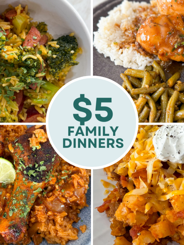 5 Easy Meals Using Boxed Stuffing Simple Budget Friendly Dinners 5 Easy Meals Using Boxed Stuffing Simple Budget Friendly Dinners