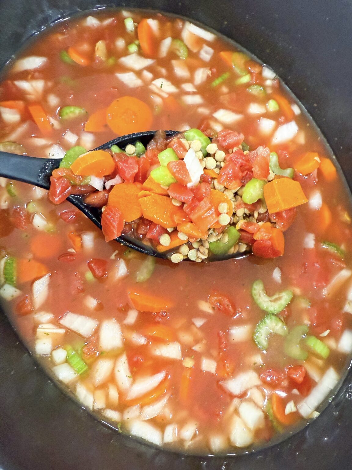 Slow Cooker Lentil Soup Stew - Julia Pacheco